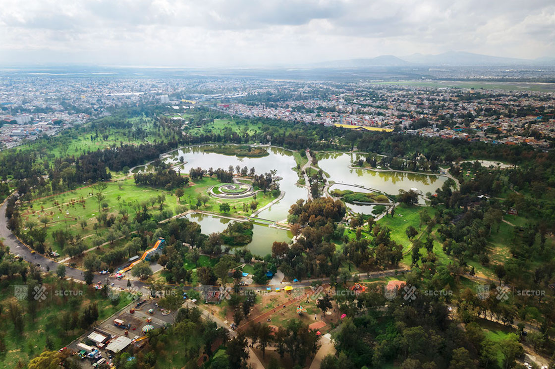 Estos son los tres bosques que puedes visitar dentro de la CDMX