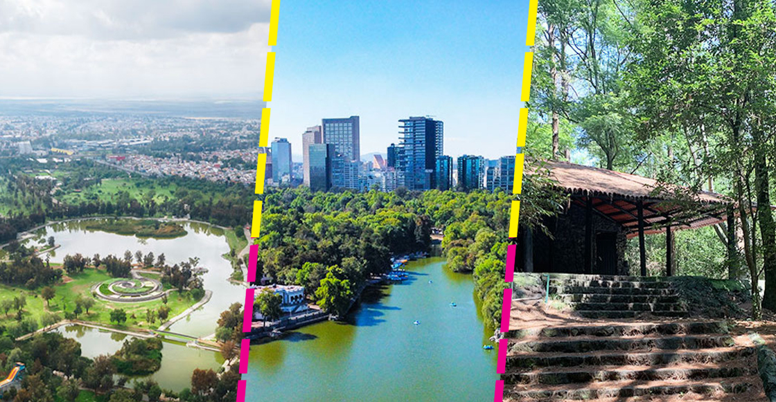 Estos son los tres bosques que puedes visitar dentro de la CDMX