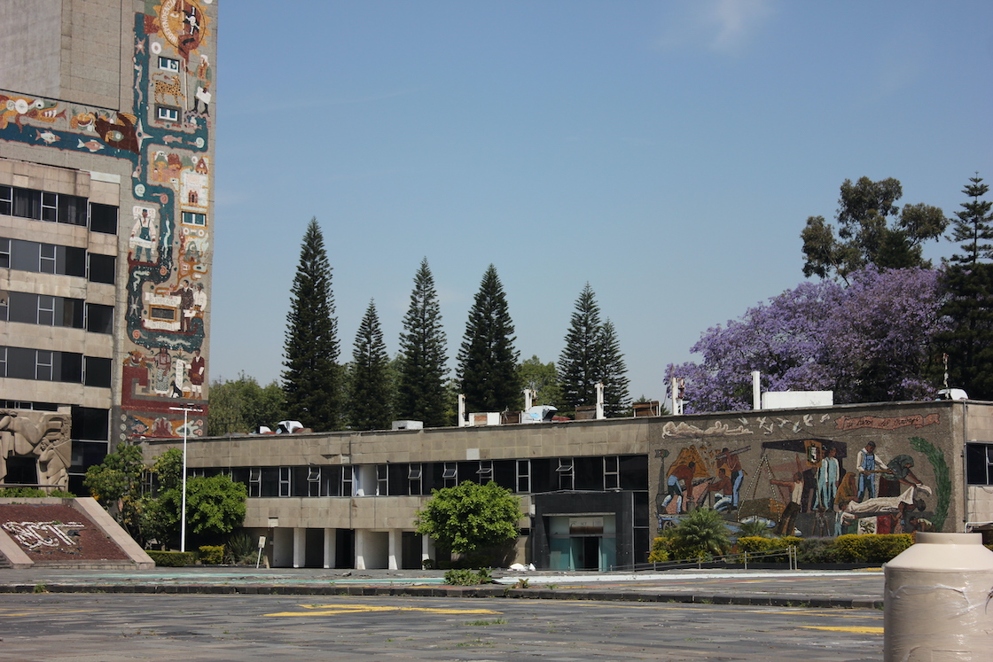 Antes vs después: La historia detrás de los murales del Centro SCOP