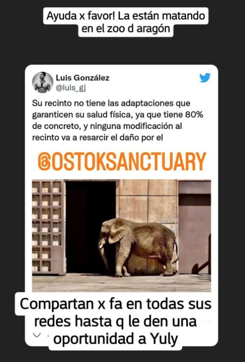 La historia de Ely, la elefanta del Zoológico de San Juan de Aragón