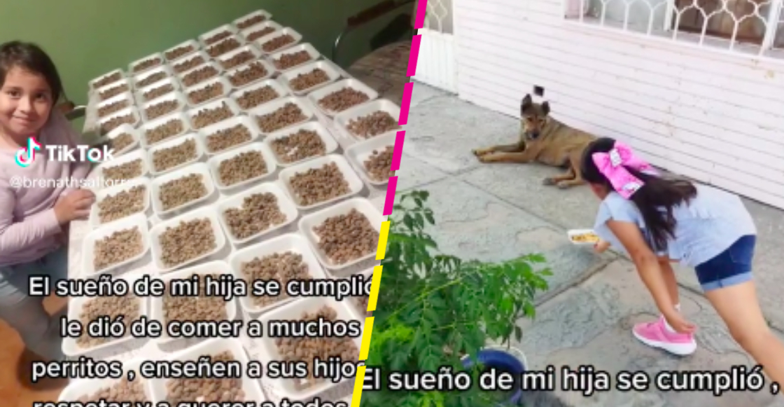 Niña se hace viral por repartir comida a perritos callejeros