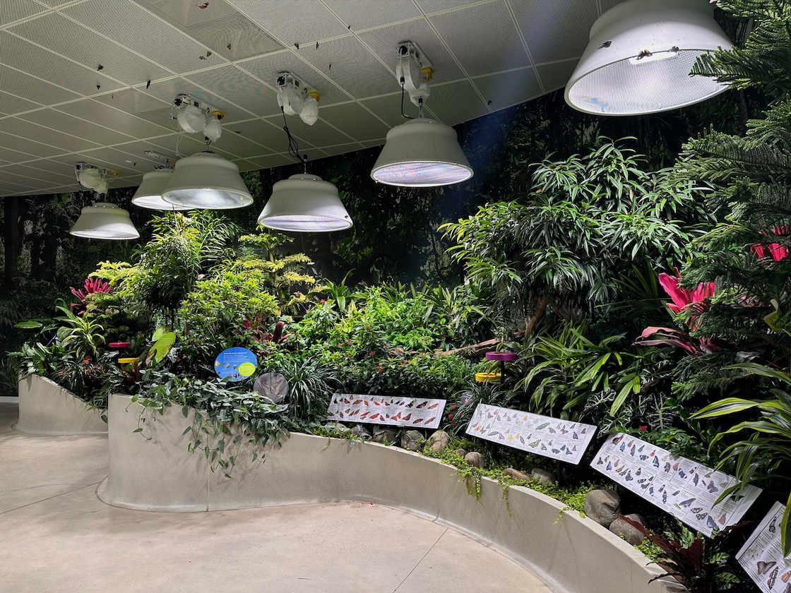 Conoce el Centro Richard Gilder, el nuevo museo de Nueva York