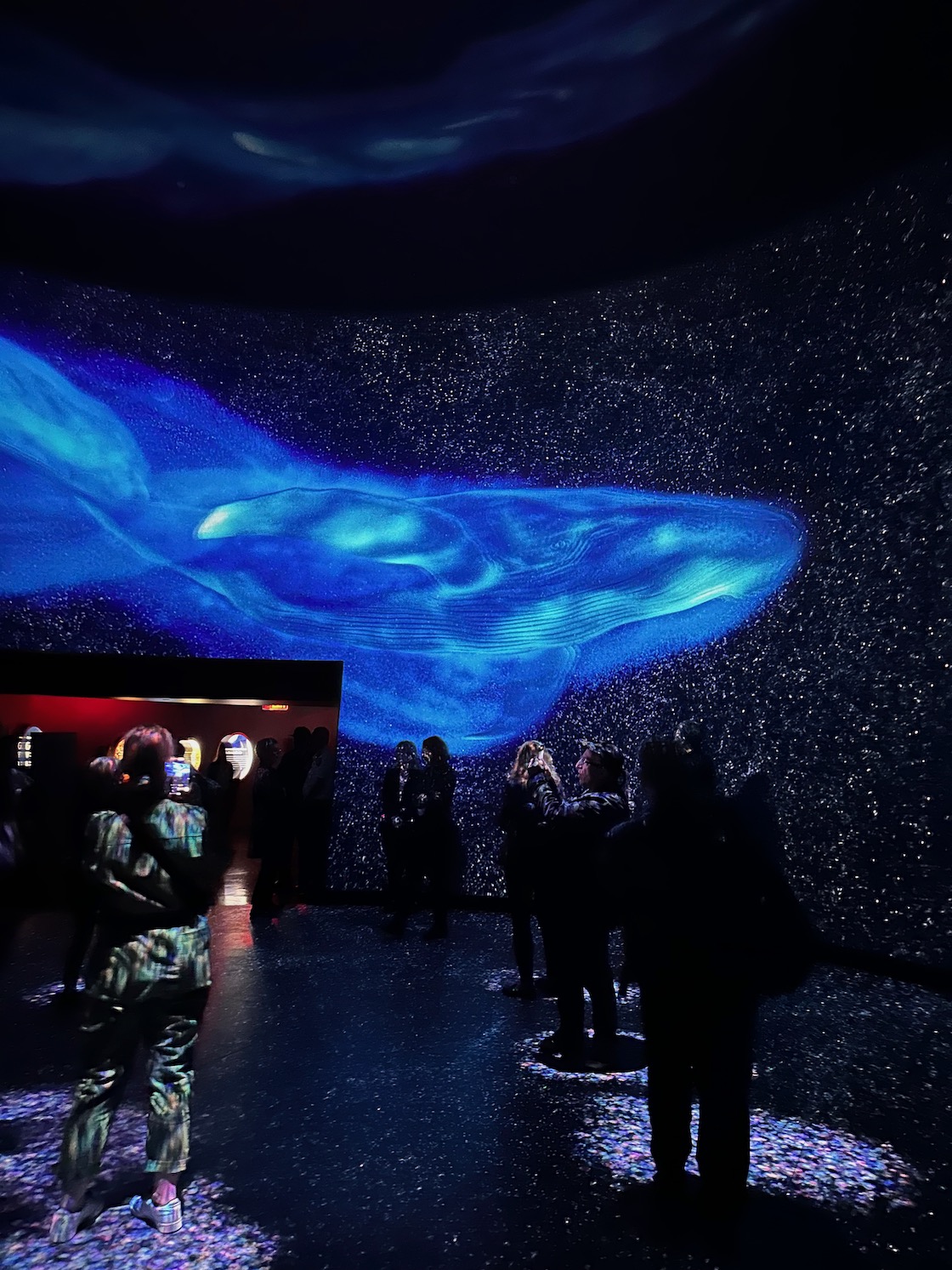 Conoce el Centro Richard Gilder, el nuevo museo de Nueva York