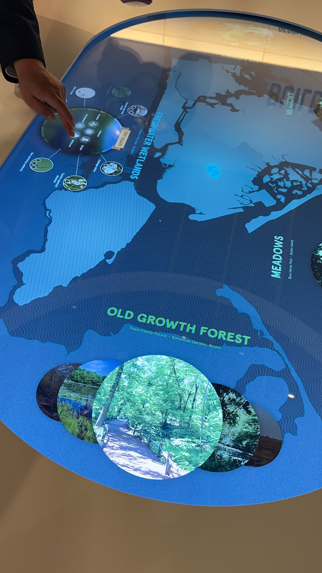 Conoce el Centro Richard Gilder, el nuevo museo de Nueva York