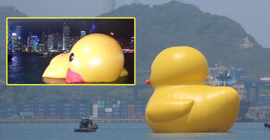 La venganza del Pato de Hule Gigante: Regresa 10 años después de que lo ...