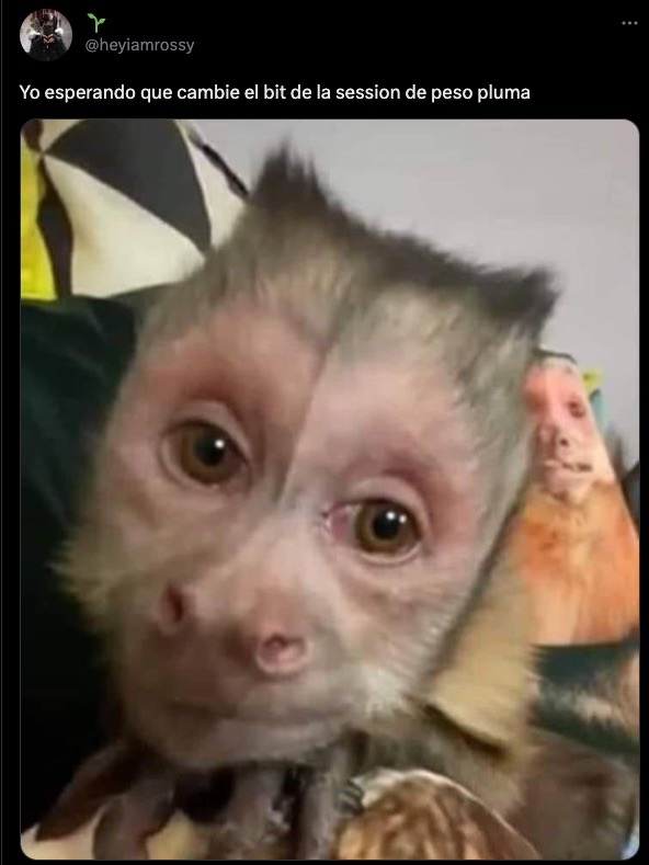 Las reacciones y memes por la sesión de Bizarrap y Peso Pluma