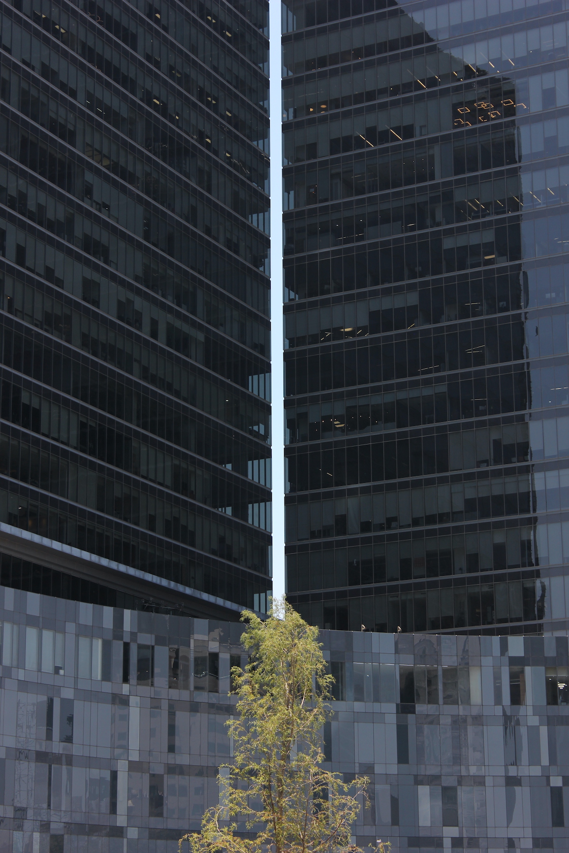 Glorietas del Ahuehuete y Cristóbal Colón en Paseo de la Reforma