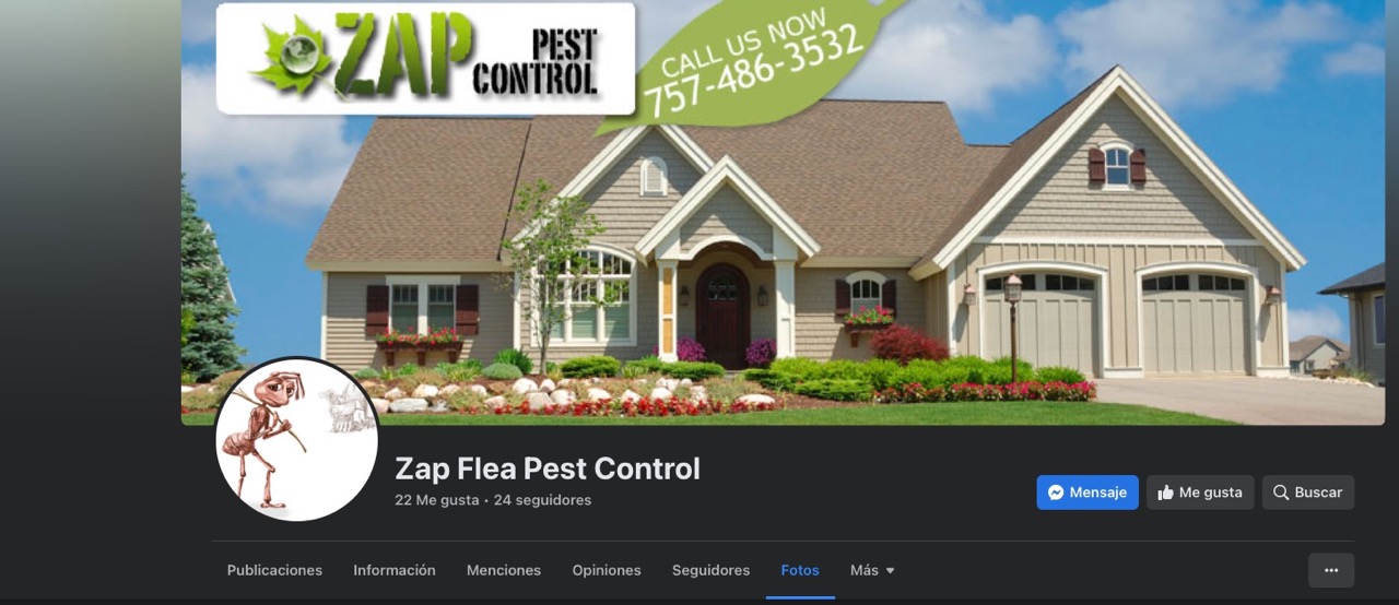 Las historia detrás del meme de la hormiga triste