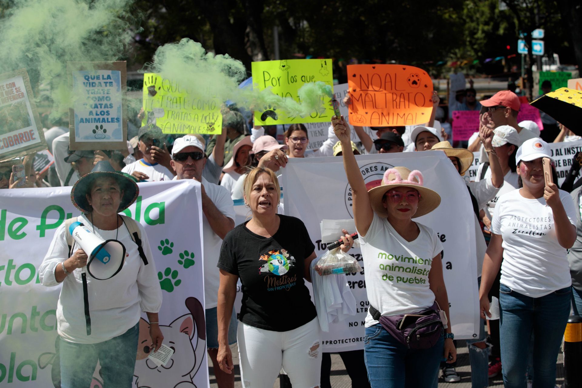 Fotos y videos de la marcha por los derechos de los animales en CDMX