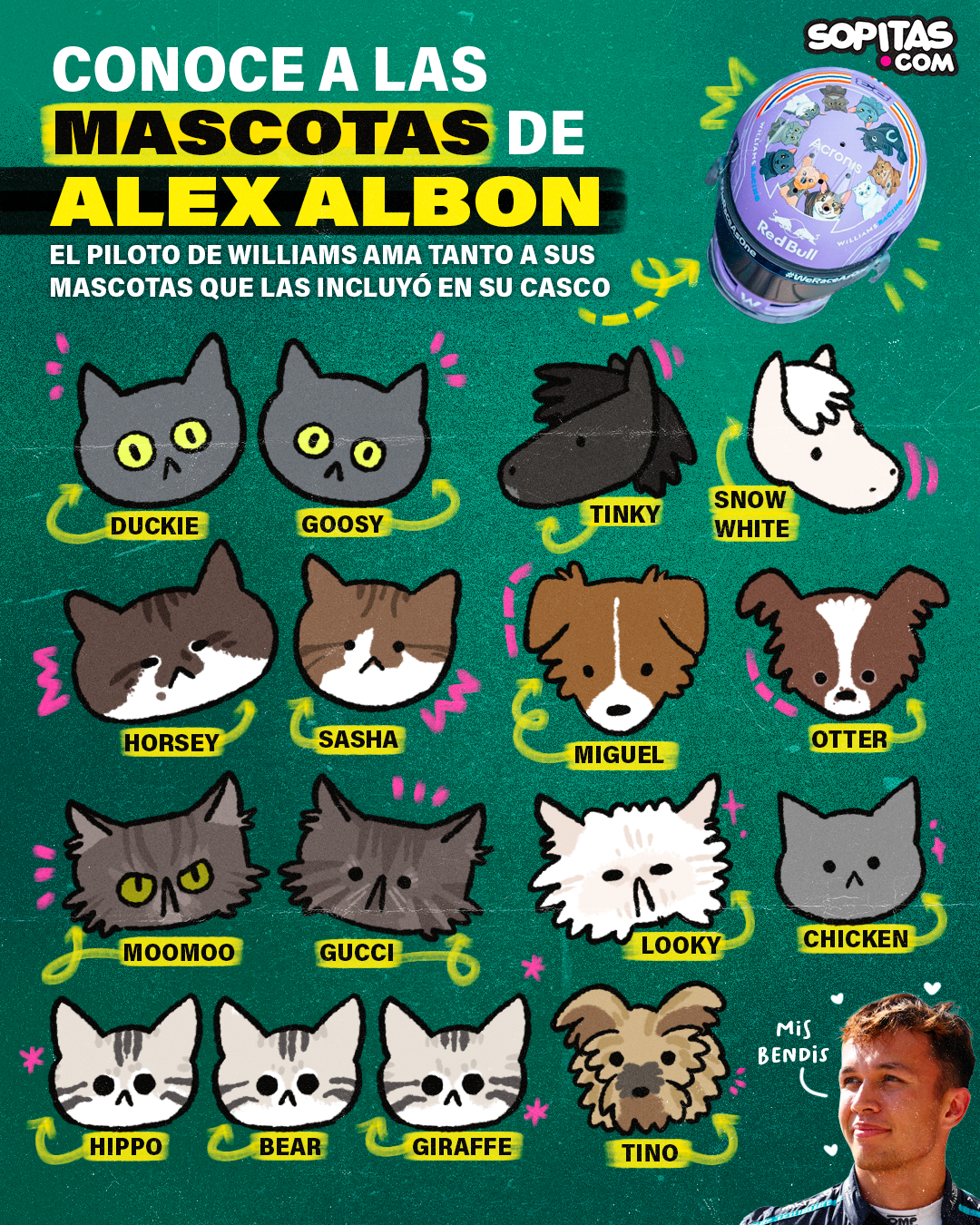 ¡Tiene 12 gatos! Alex Albon, el piloto que ha llenado su casa de mascotas