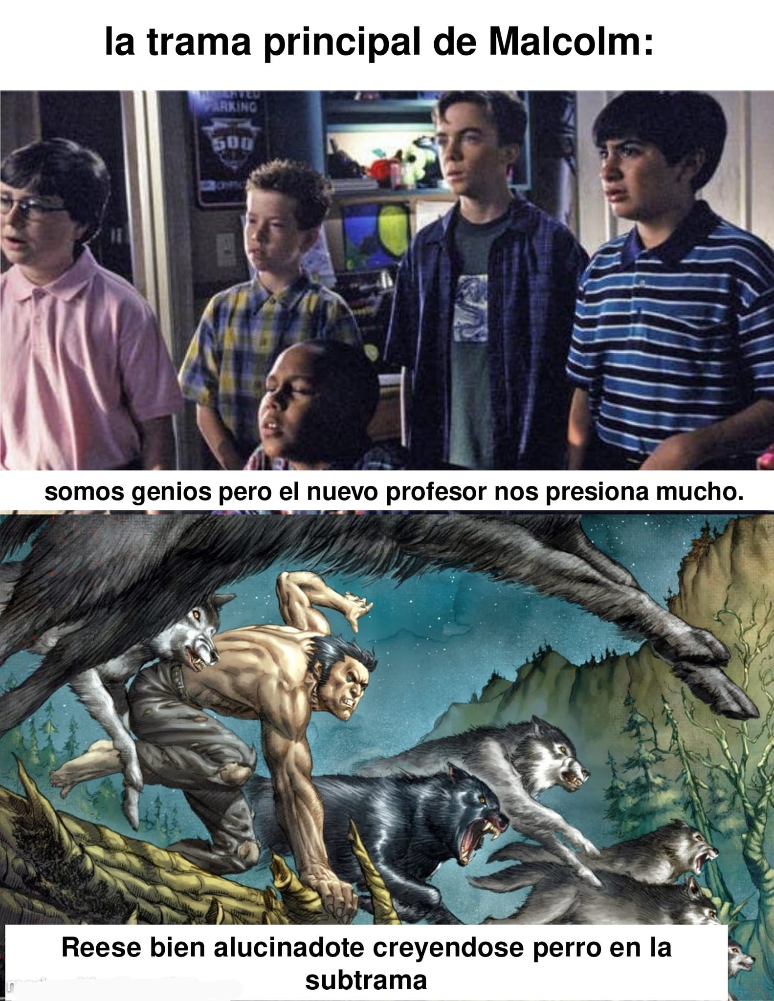 Algunos memes chidos de la trama y subtrama de 'Malcolm el de en medio'