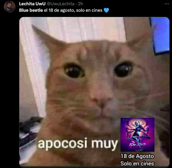 Sólo en cines: El origen (y contexto) de los memes de 'Blue Beetle'