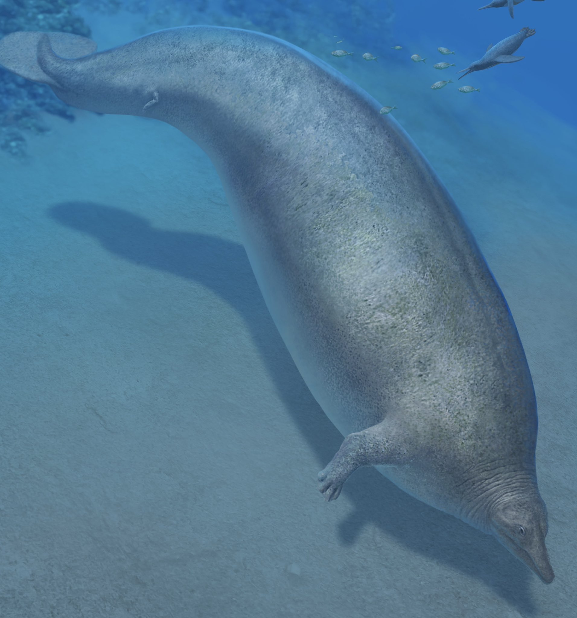Así se veía la ballena colosal prehistórica de más de 300 toneladas