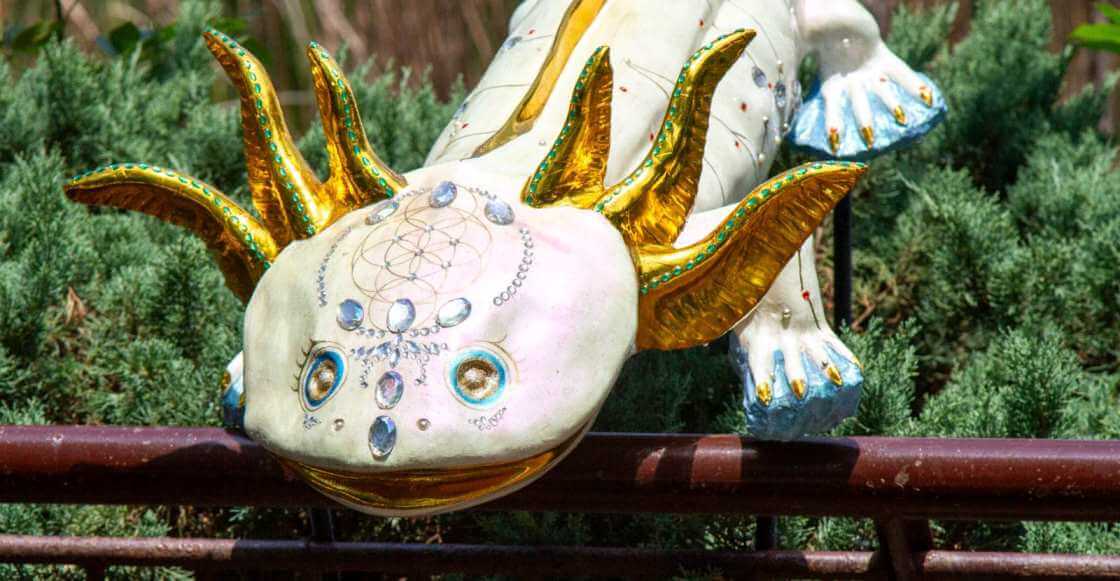 Las esculturas del Axolote Centenario en el Bosque de Chapultepec