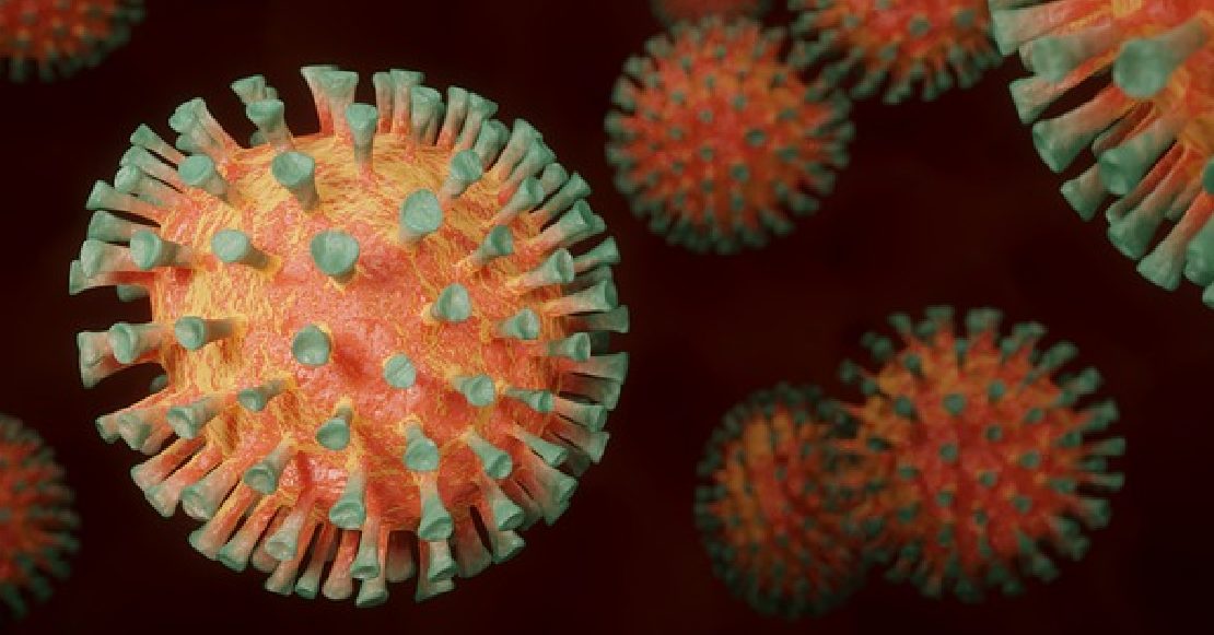 ¿Qué es la influenza H5N2 que llegó a México y cuáles son los síntomas?