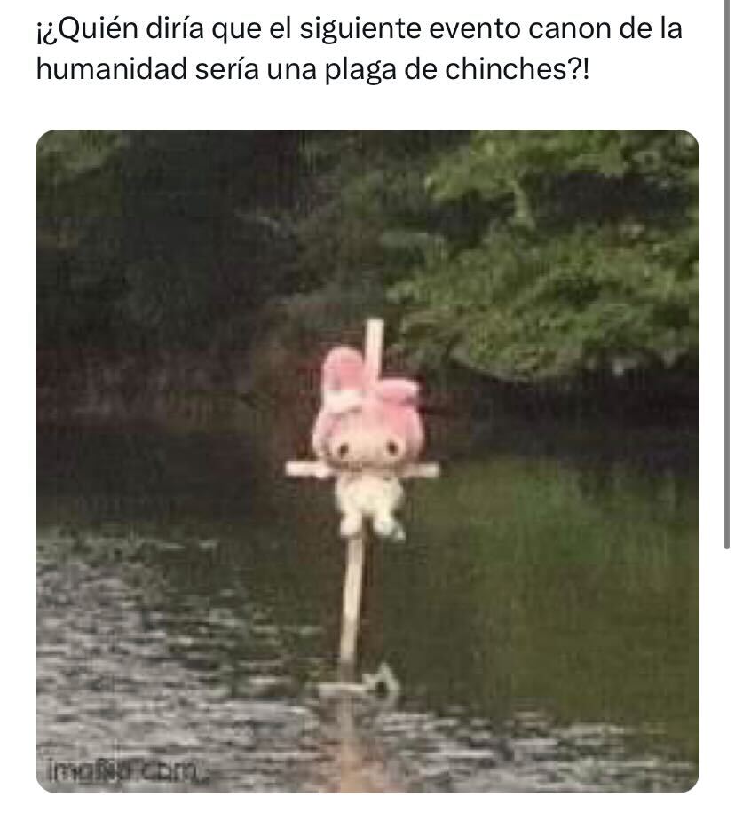 La UNAM, las chinches y los memes que están buenísimos