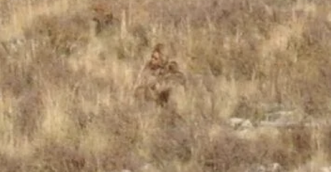 Video de Pie Grande en Colorado revive el mito; esto es lo que sabemos