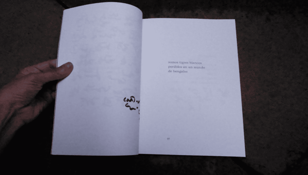 6 libros de autores mexicanos de 2023 que puedes leer en el 2024