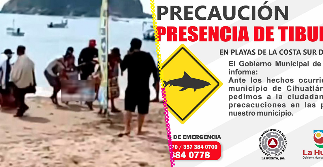 Mujer murió tras ser atacada por un tiburón en parque acuático de Melaque, Jalisco