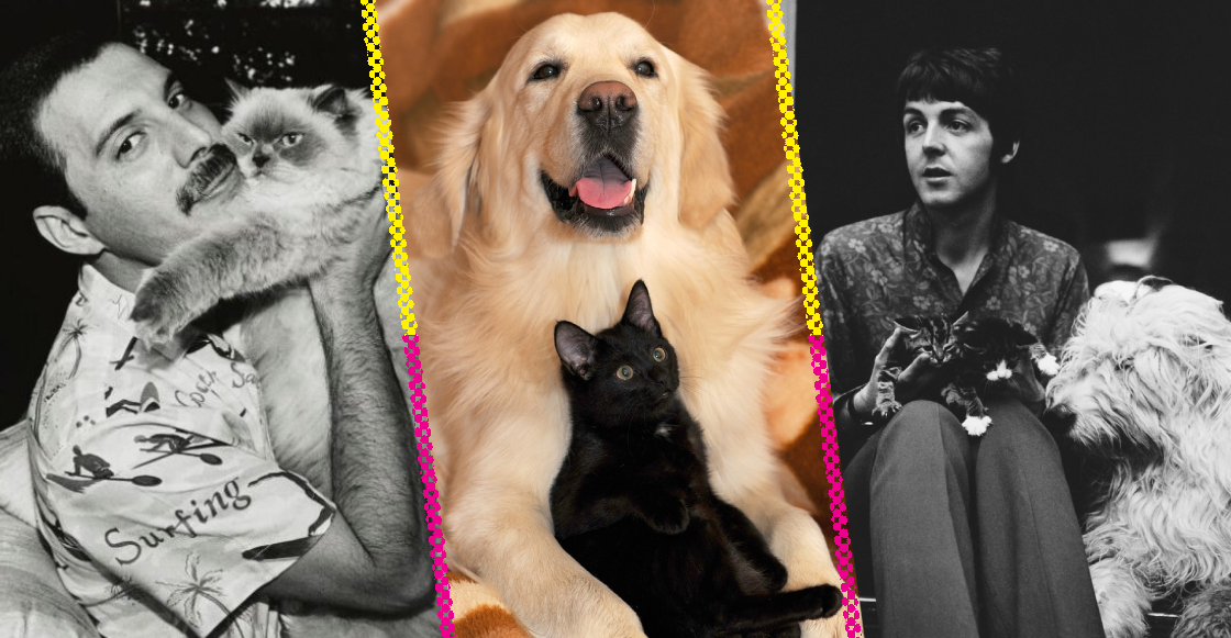 8 canciones sobre mascotas que te harán amar más a las tuyas