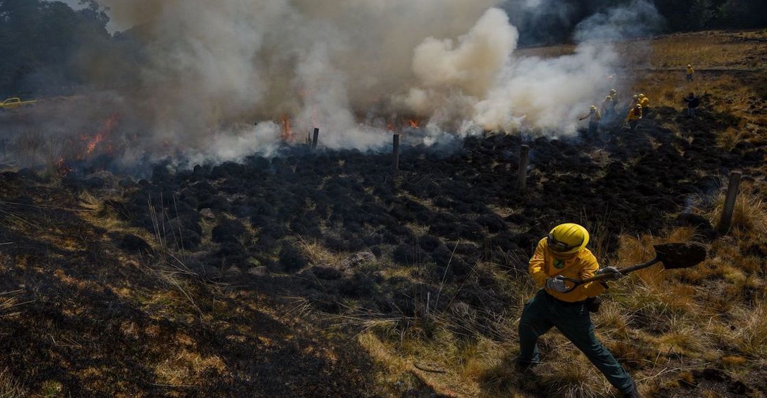 Dónde reportar y cómo prevenir incendios forestales en CDMX