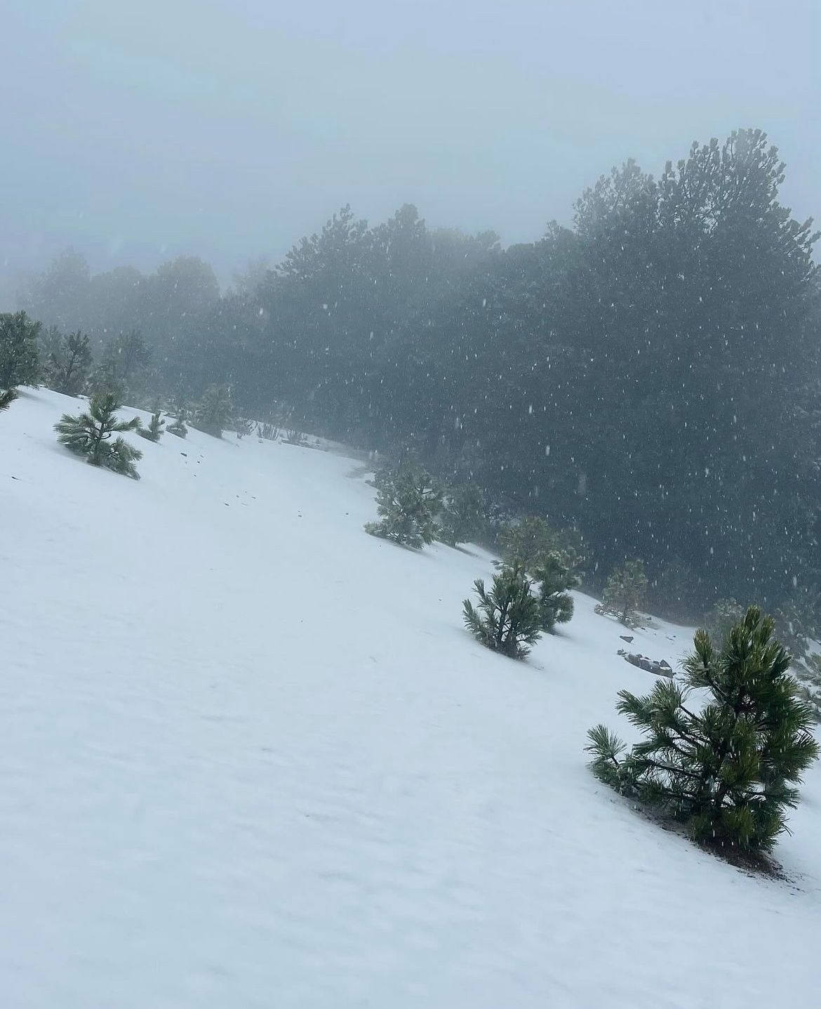 Las increíbles imágenes de la caída de nieve en CDMX