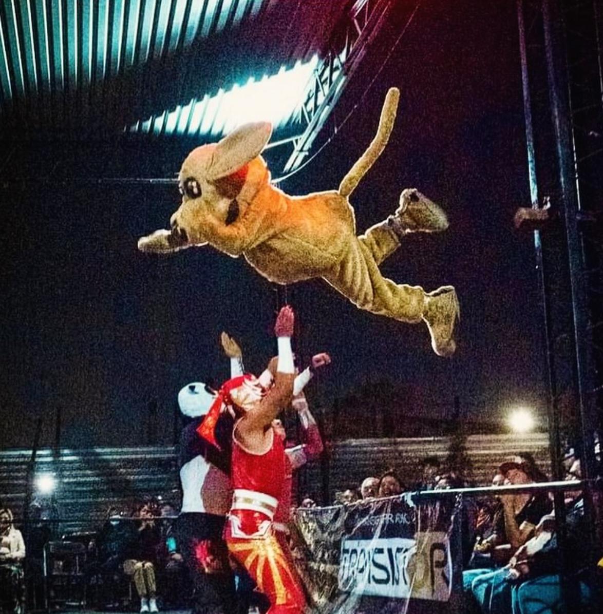 La historia de la botarga de perrito luchador que anda por CDMX