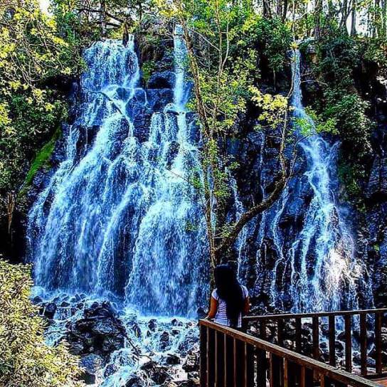 Las cascadas más bonitas para refrescarse cerca de la CDMX