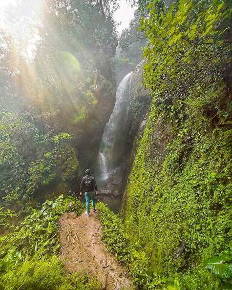 Las cascadas más bonitas para refrescarse cerca de la CDMX