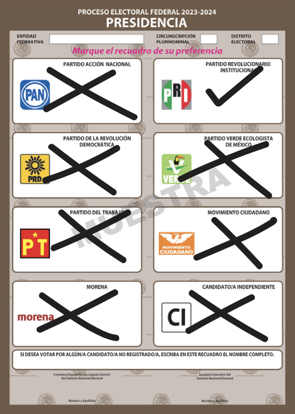 Votar sin anular: Guía de las marcas permitidas en tu boleta para las ...