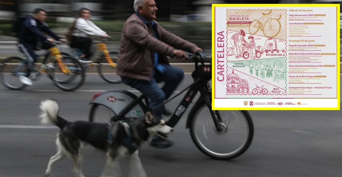 Gran Rodada CDMX: Pedalea en bici, recorre museos y lánzate a la expo ...