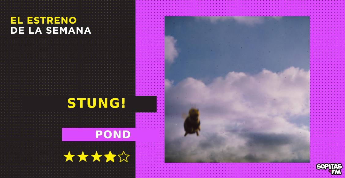 Pond continúa su aventura psicodélica entre rock, pop y hasta funk