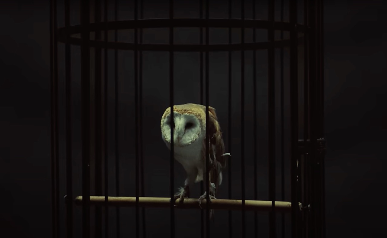 7 referencias en el video oficial de "Not Like Us" de Kendrick Lamar