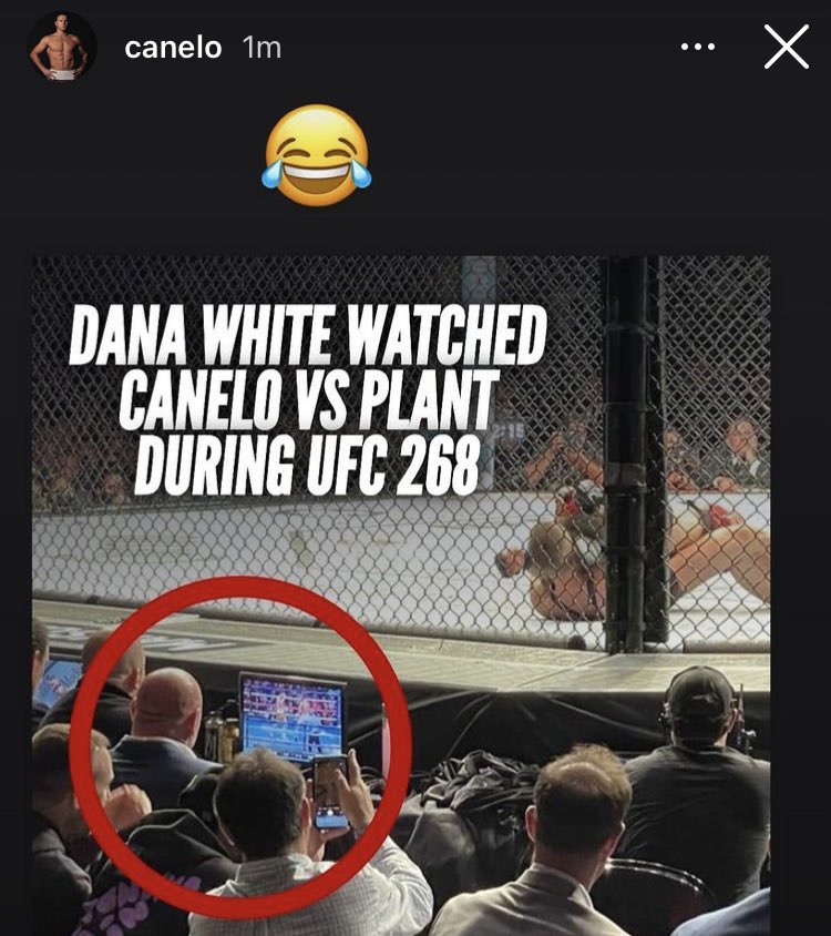 Edgar Berlanga fue el "chosen one" de la golpiza que le dio el 'Canelo ...