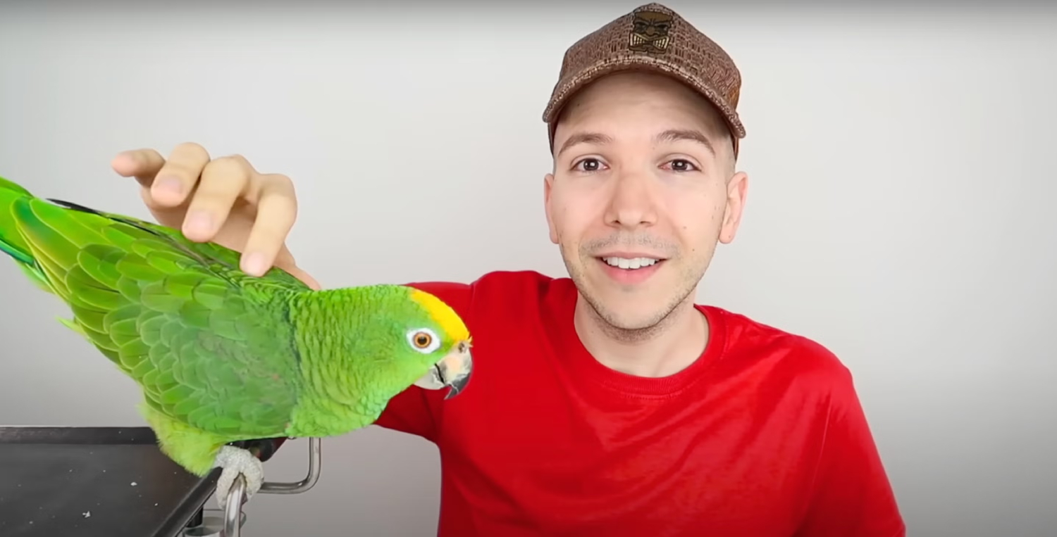 Nikocado Avocado y su extraño nuevo video que tiene a todo internet ...