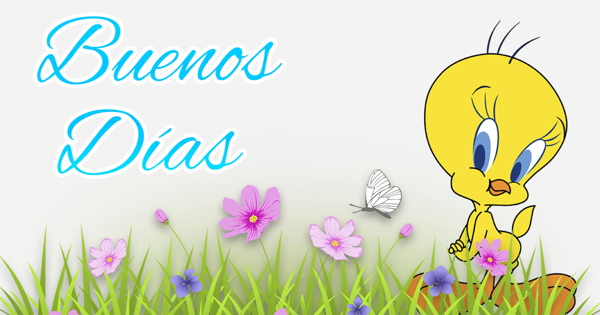 Trend ‘Symphony’: Así puedes hacer los memes de delfines que inundan ...