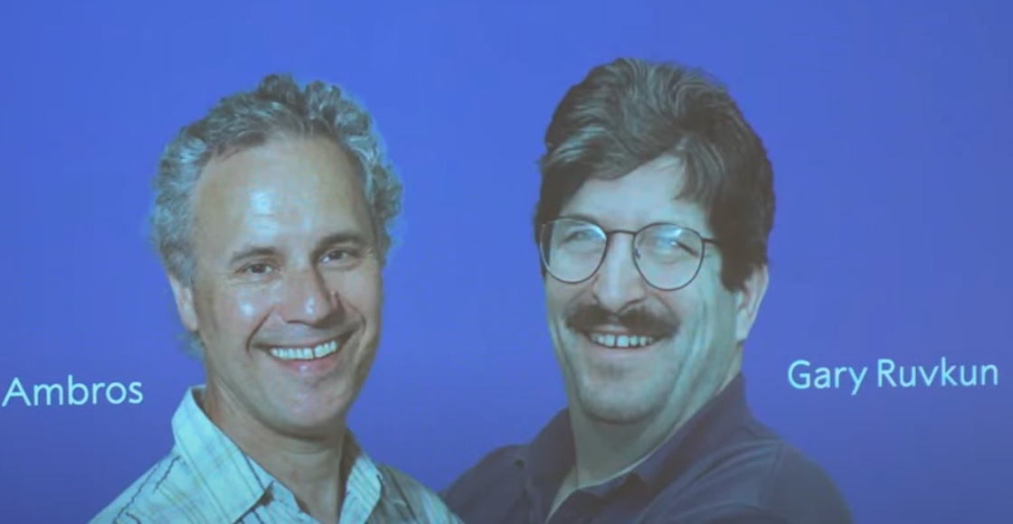 Victor Ambros y Gary Ruvkun ganan Nobel de Medicina por descubrimiento del microARN