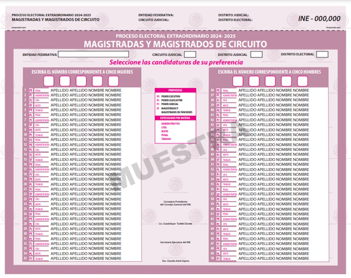 Así se ven las boletas para las elecciones del Poder Judicial 2025 ...