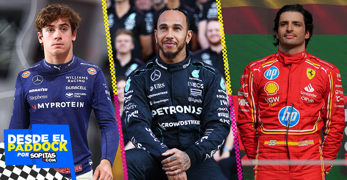 Las historia detrás del meme de la hormiga triste