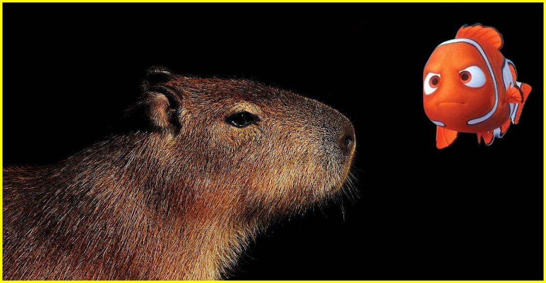 La evolución del show de medio tiempo del Super Bowl