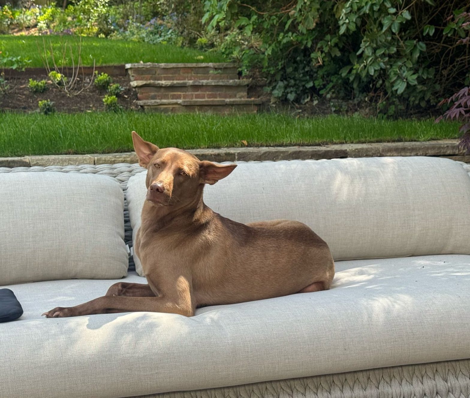 French chubby teen porn i was familiar with her from other