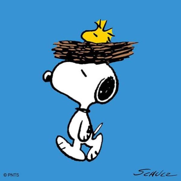 La Casa de Snoopy ya se instaló en CDMX