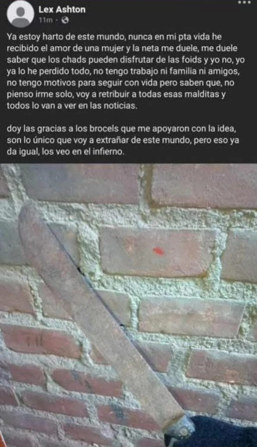 El caso Lex Ashton y cómo la violencia incel ya llegó a las escuelas mexicanas