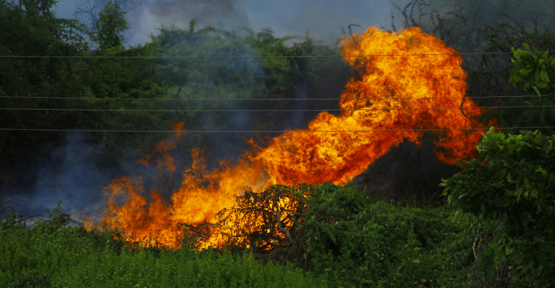 5 puntos sobre los terribles incendios forestales en Chile