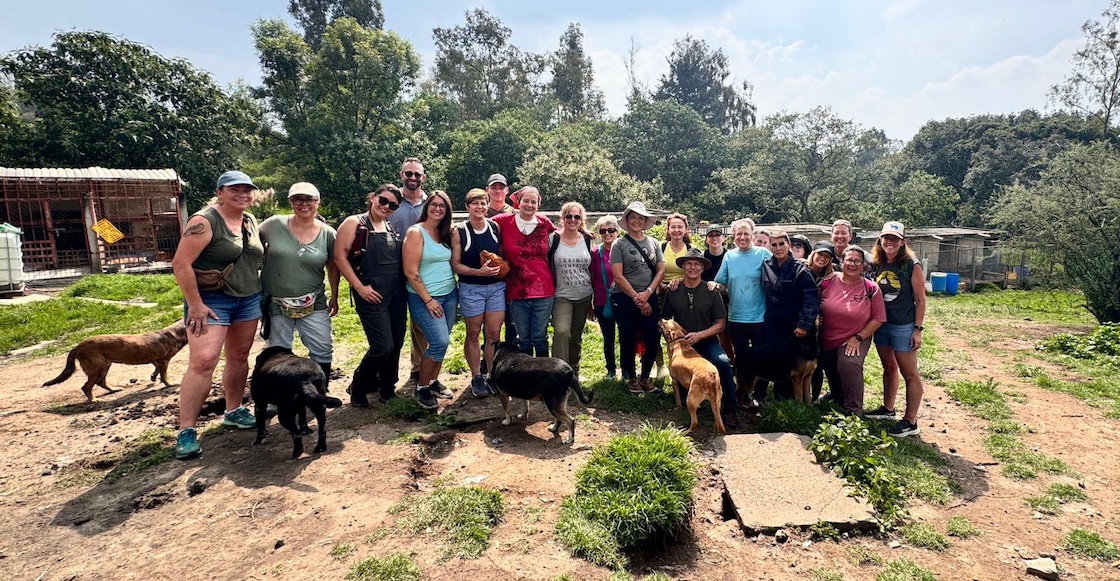 Rescate de 900 perros del Refugio Franciscano: ¿Por el bienestar animal ...