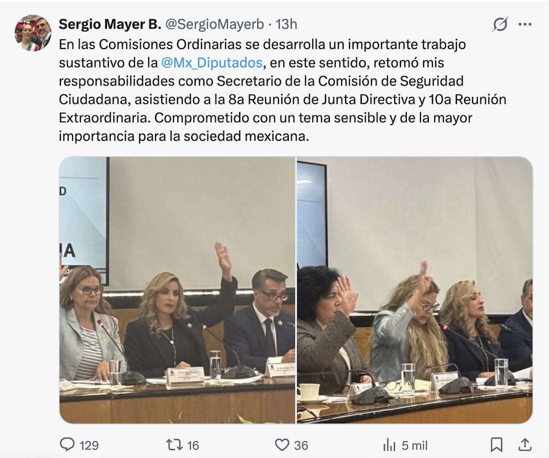 Sergio Mayer regresa a la Cámara de Diputados y se disculpa