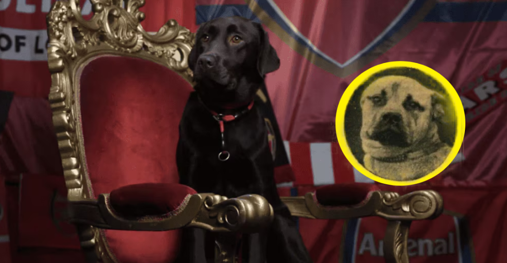 Win y Gunner los lomitos detrás de los campeonatos del Arsenal